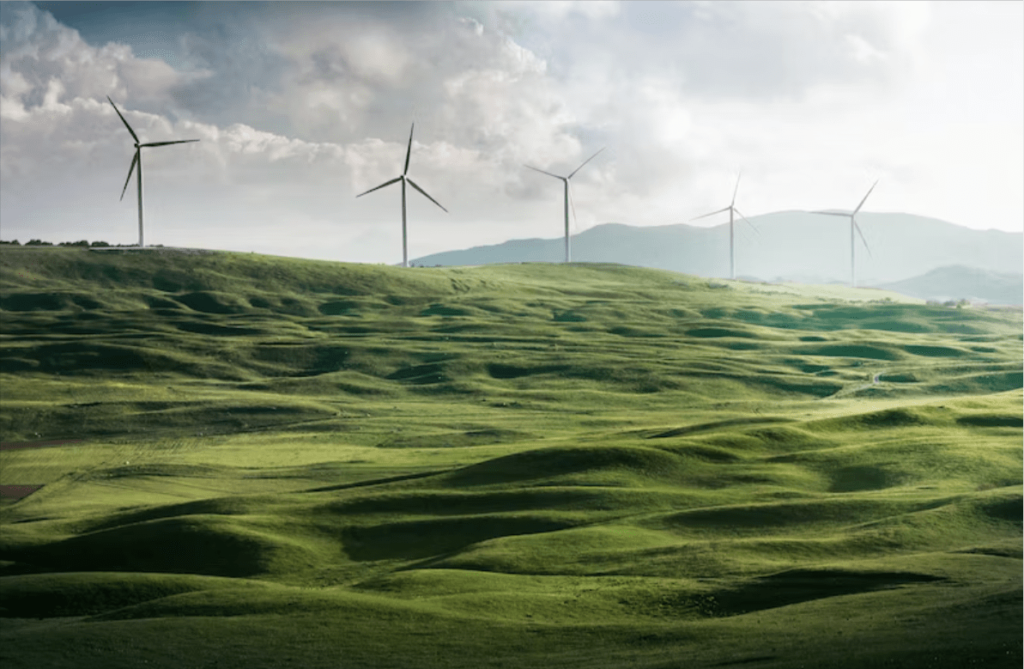 10 Important Steps in Decarbonization Process to Achieve Sustainability ...