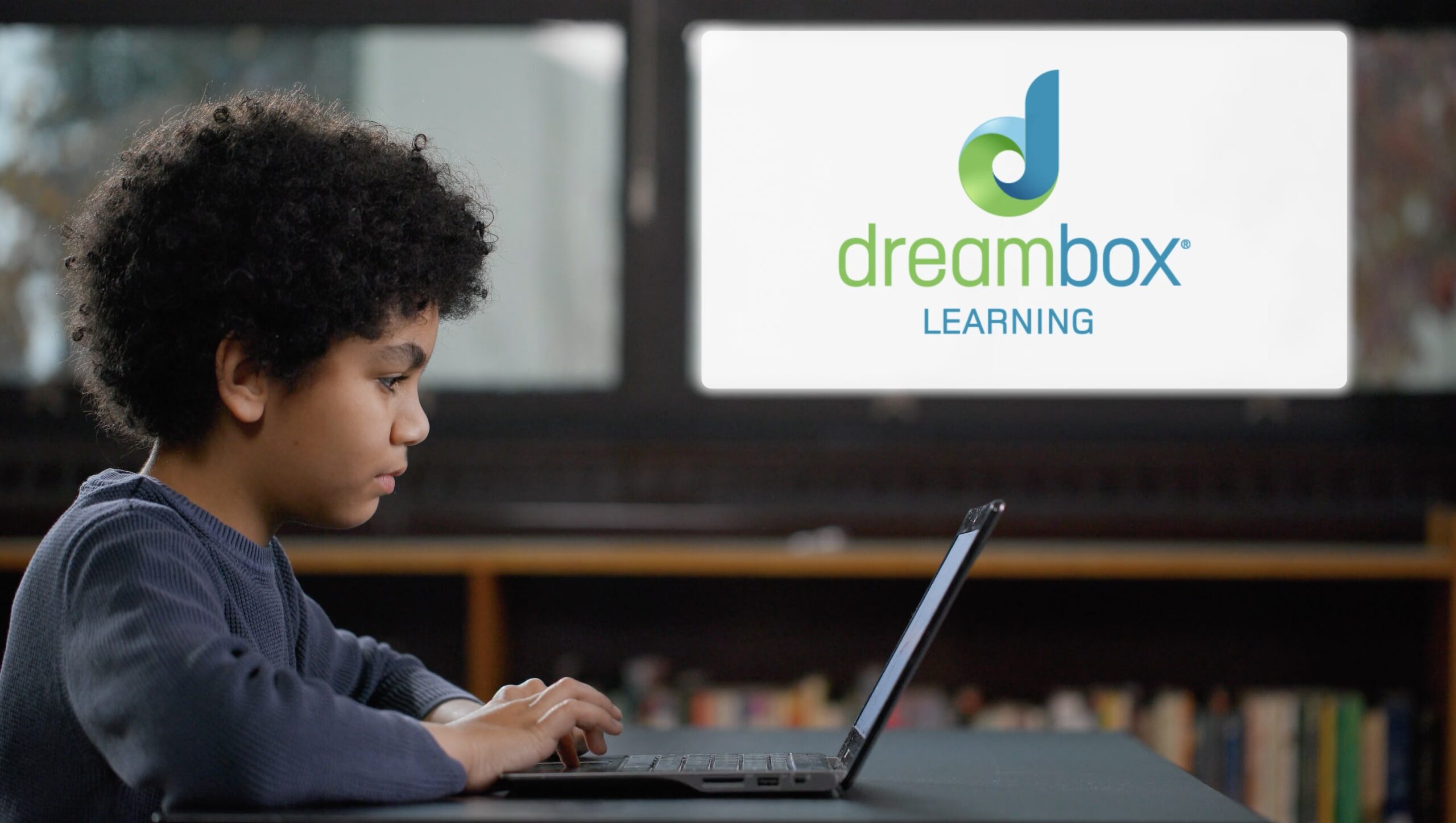 Dreambox Learning Logo DreamBox Learning — Games For Young Minds